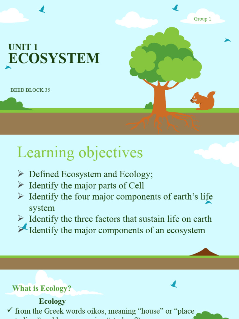 Ecosystem Group 1 Pdf Ecosystem Earth