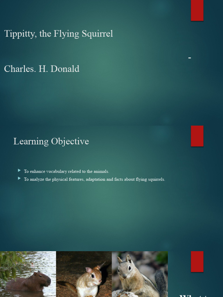 Tippity The Flying Squirrel | PDF