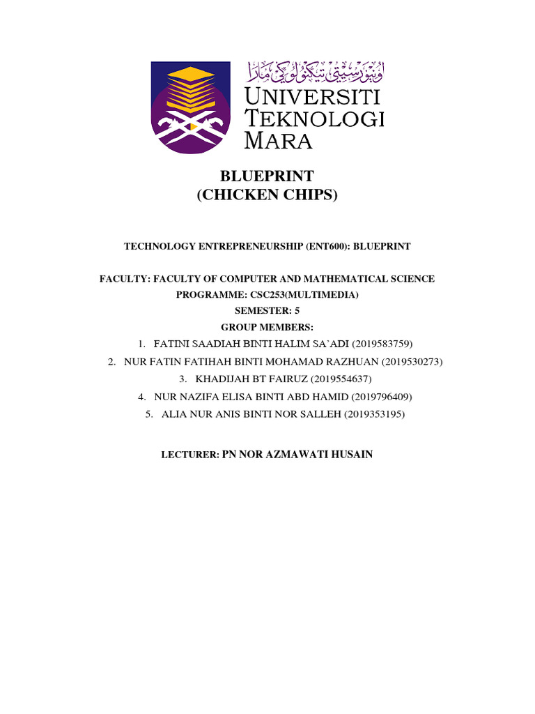 BP Report Chickchips | Download Free PDF | Marketing | Market Segmentation