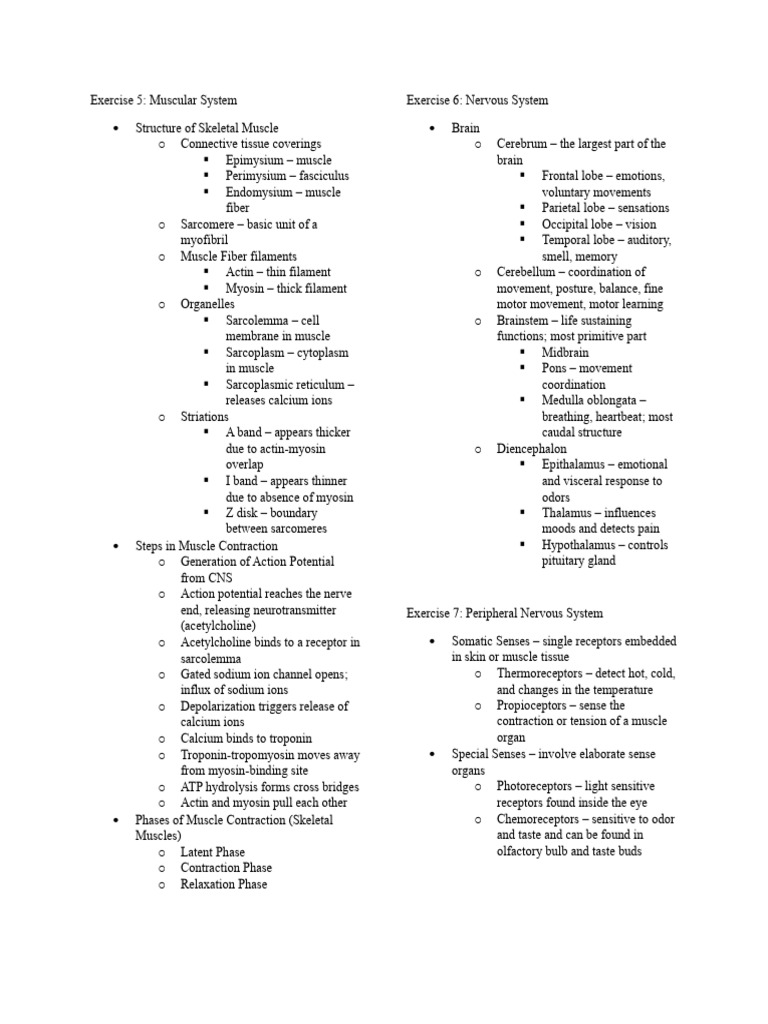 HAPP 111 Laboratory Exam Reviewer | Download Free PDF | Skeletal Muscle | Muscle Contraction