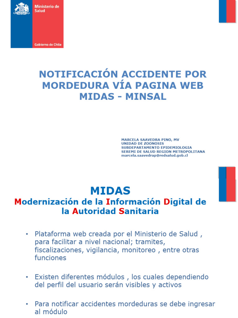 Notificación de Mordeduras en MIDAS | PDF | Finanzas y dinero ...