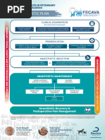 Kitty Magic | PDF | Anesthesia | Surgery