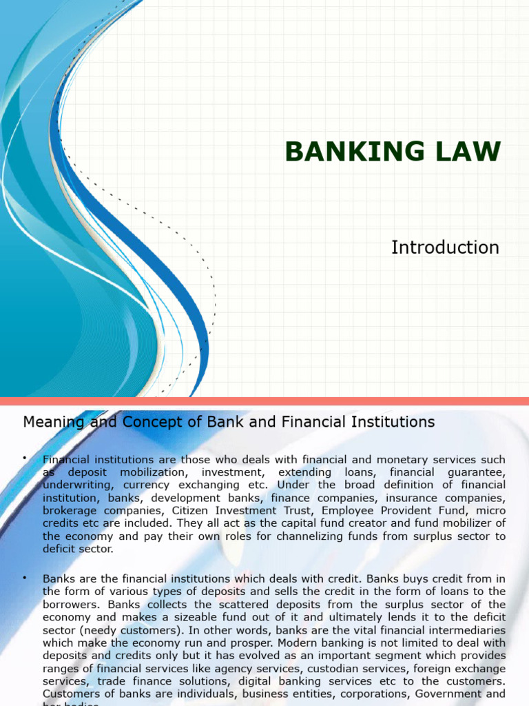 Chapter 1 Introduction Pdf Banks Credit