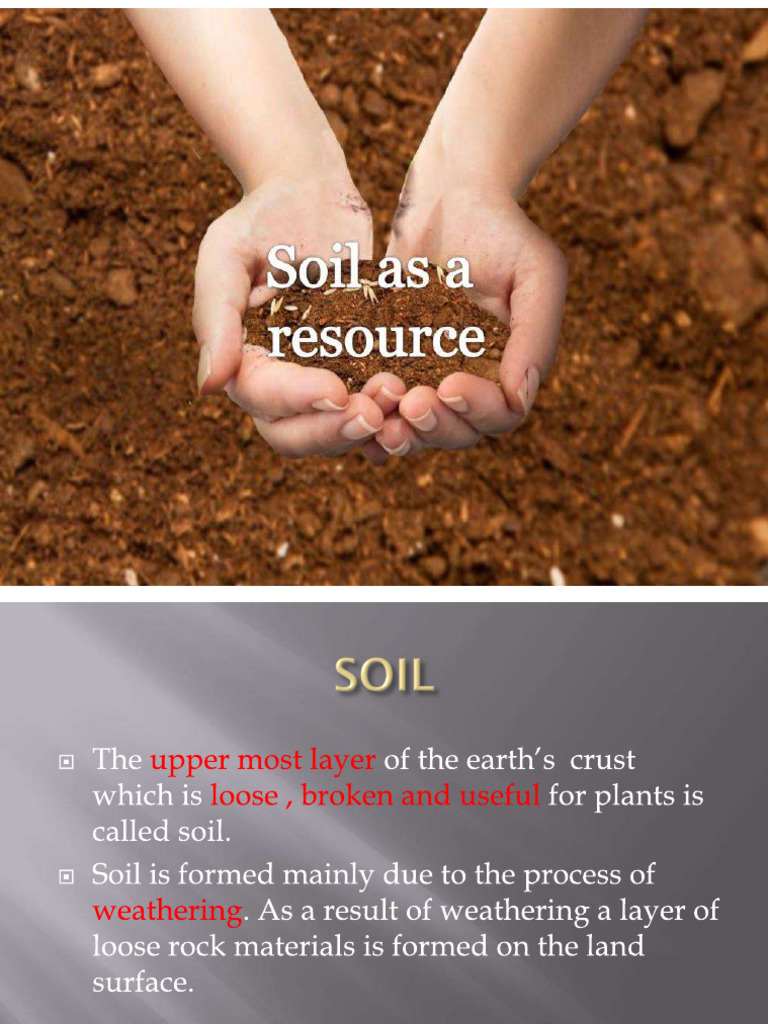 Soil | PDF