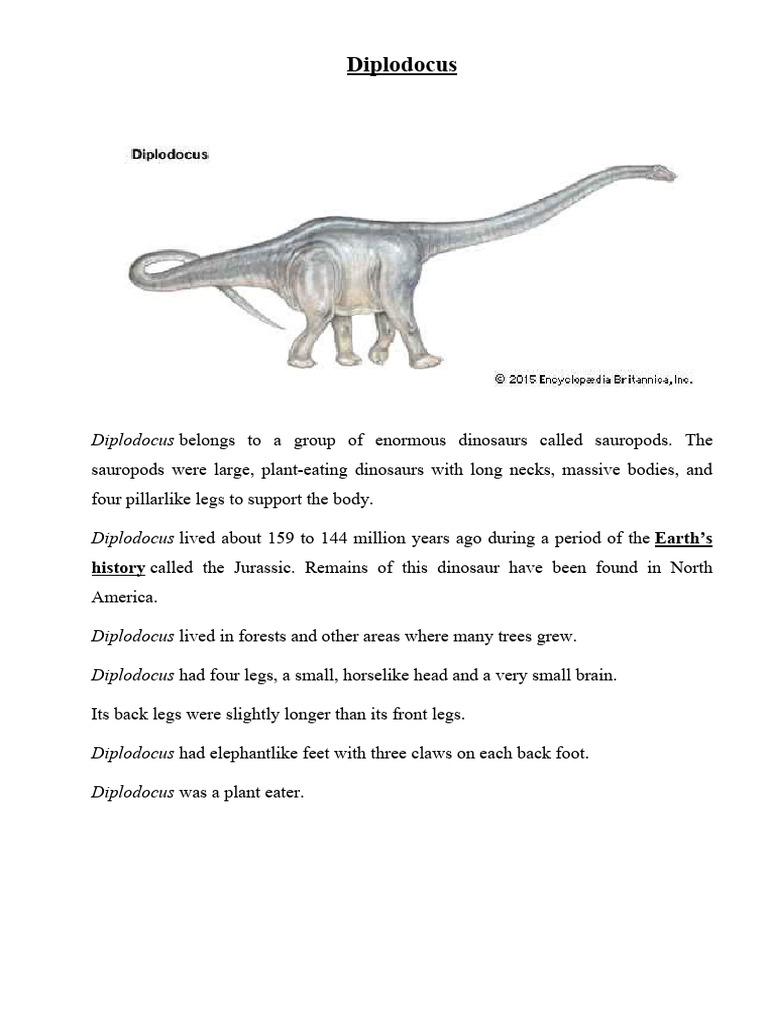 Diplodocus | PDF