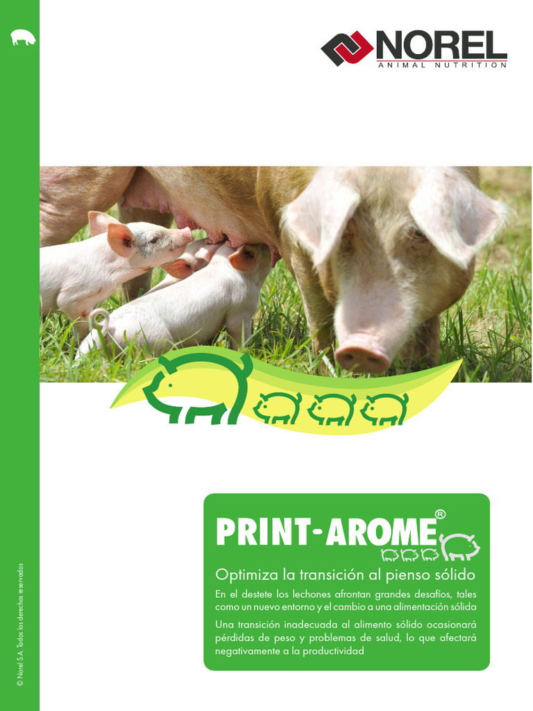 Norel Cerdos | PDF | Nutrición | Dieta y nutrición