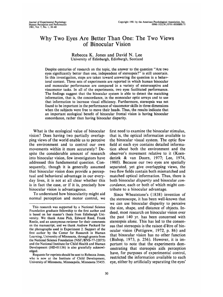 Two Eyes | PDF | Visual Perception | Perception