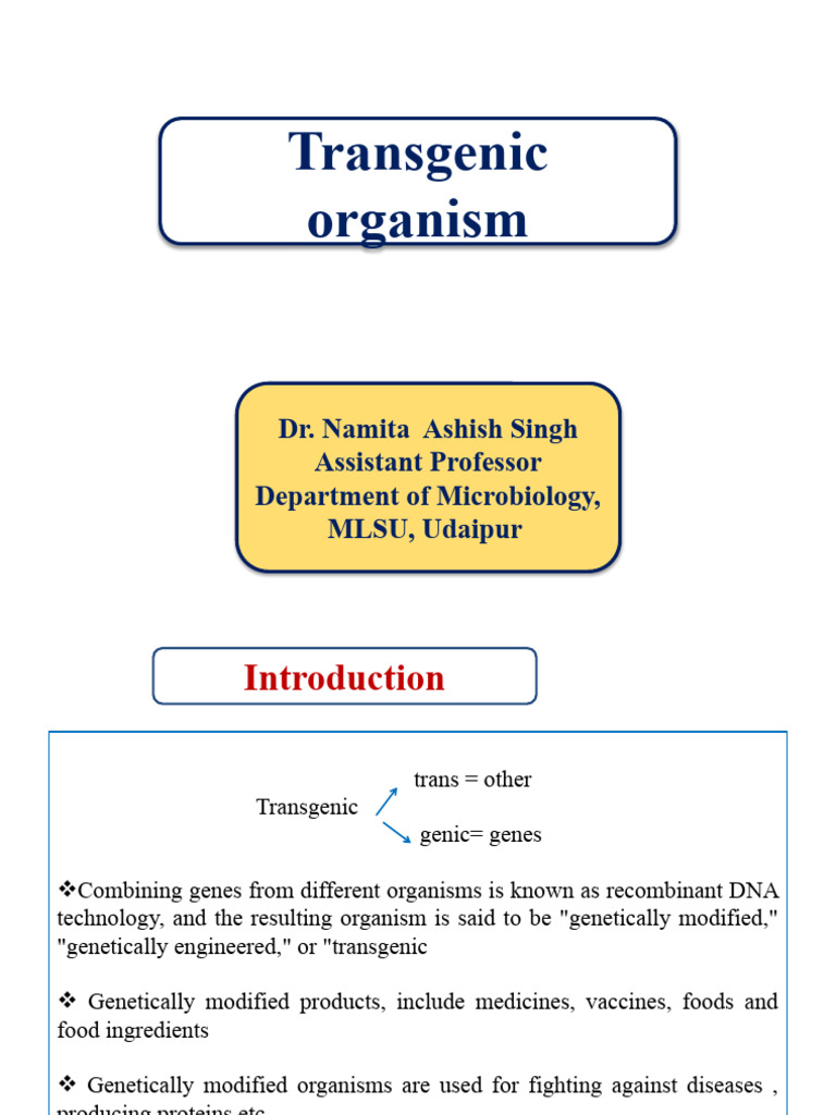 Transgenic Organism | PDF | Genetically Modified Organism | Genetic ...