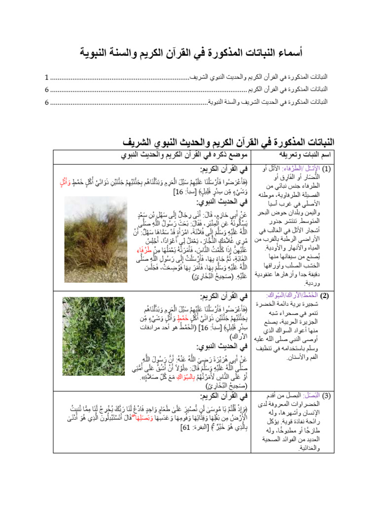 09 - Other - Publications - List of Plants Citation in Quran and Hadith ...