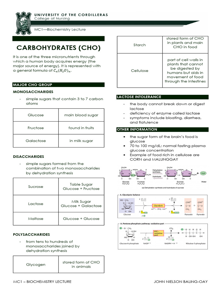 Carbohydrates - Revised Notes | PDF | Carbohydrates | Glucose