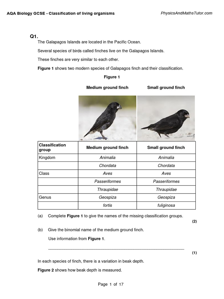 GCSE Classification of Living Organisms | PDF | Genotype | Allele