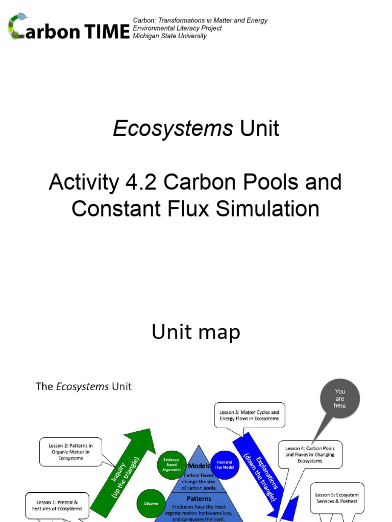 4.2 Carbon Pools and Constant Flux Simulation | PDF
