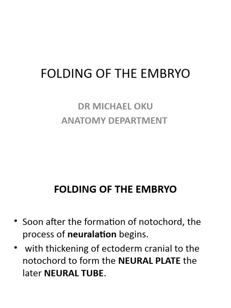 Embryonic Folding Processes Explained | PDF | Reproduction | Anatomy