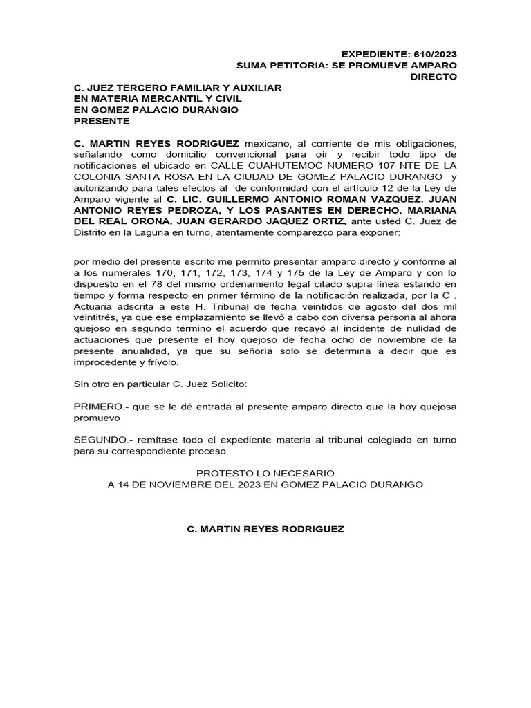 AMPARO DIRECTO SR MARTIN | PDF | Sentencia (ley) | Caso de ley