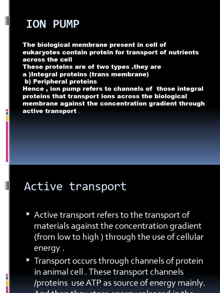 Ion Pumps: Active Transport Mechanisms | PDF