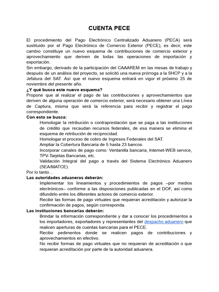 Nuevo Esquema de Pago PECE | PDF | Business | Economias