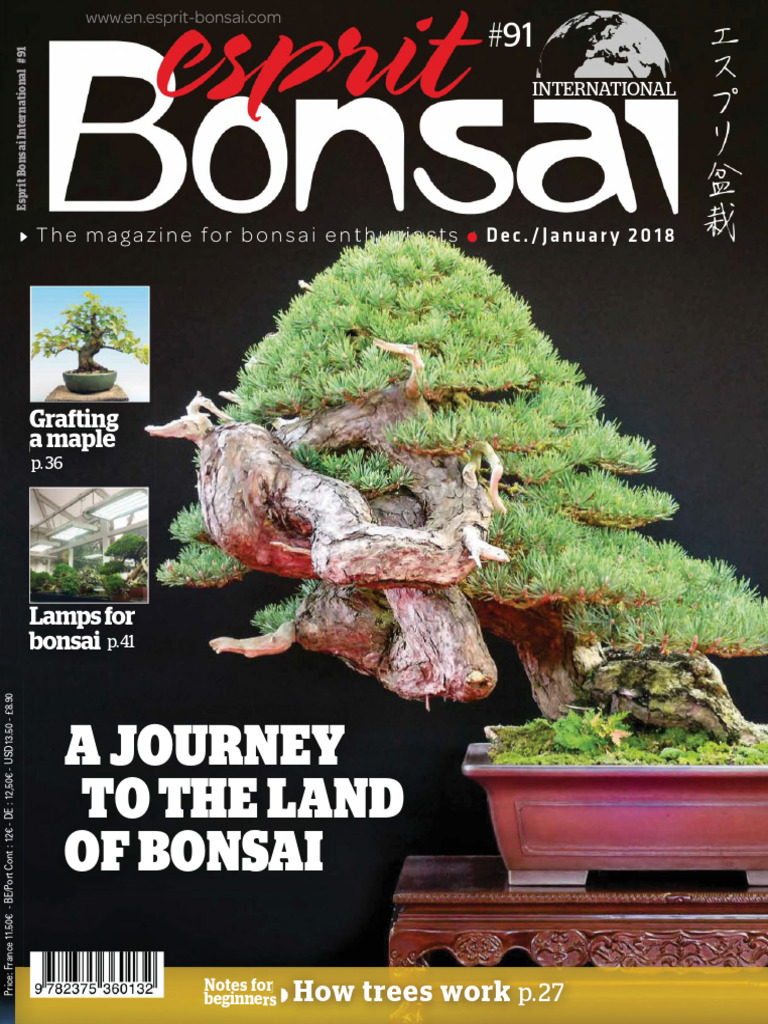 Esprit Bonsai International December 01 2017 | PDF | Bonsai | Botany