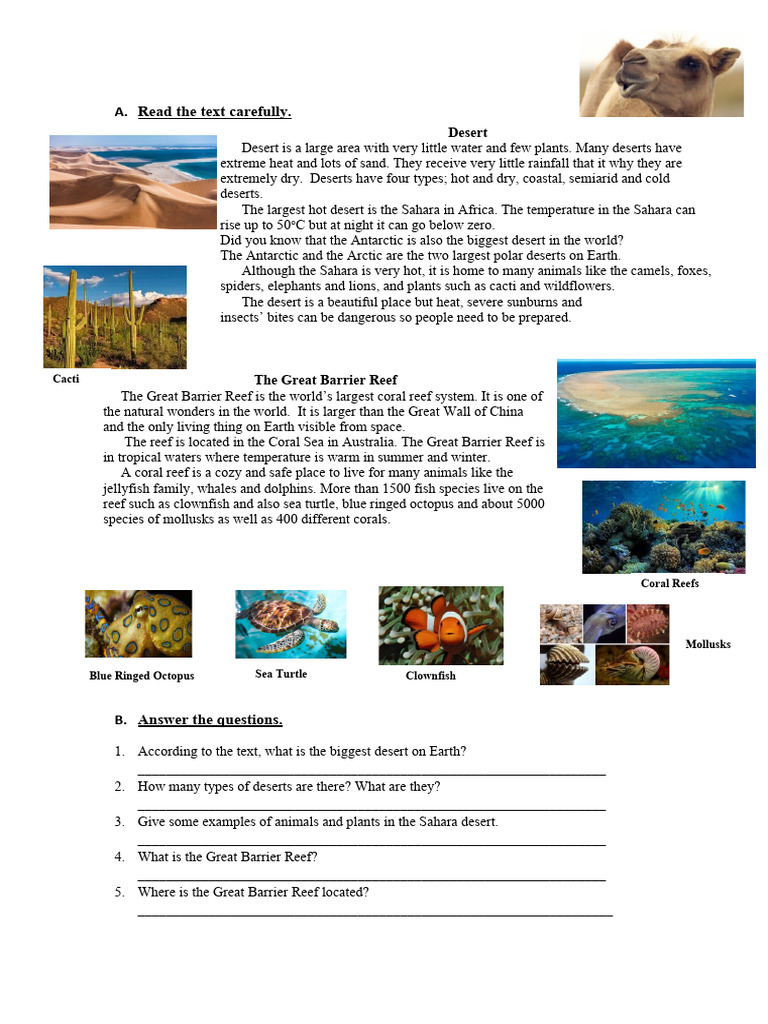 Geography Quiz for Students | PDF | Desert | Coral Reef