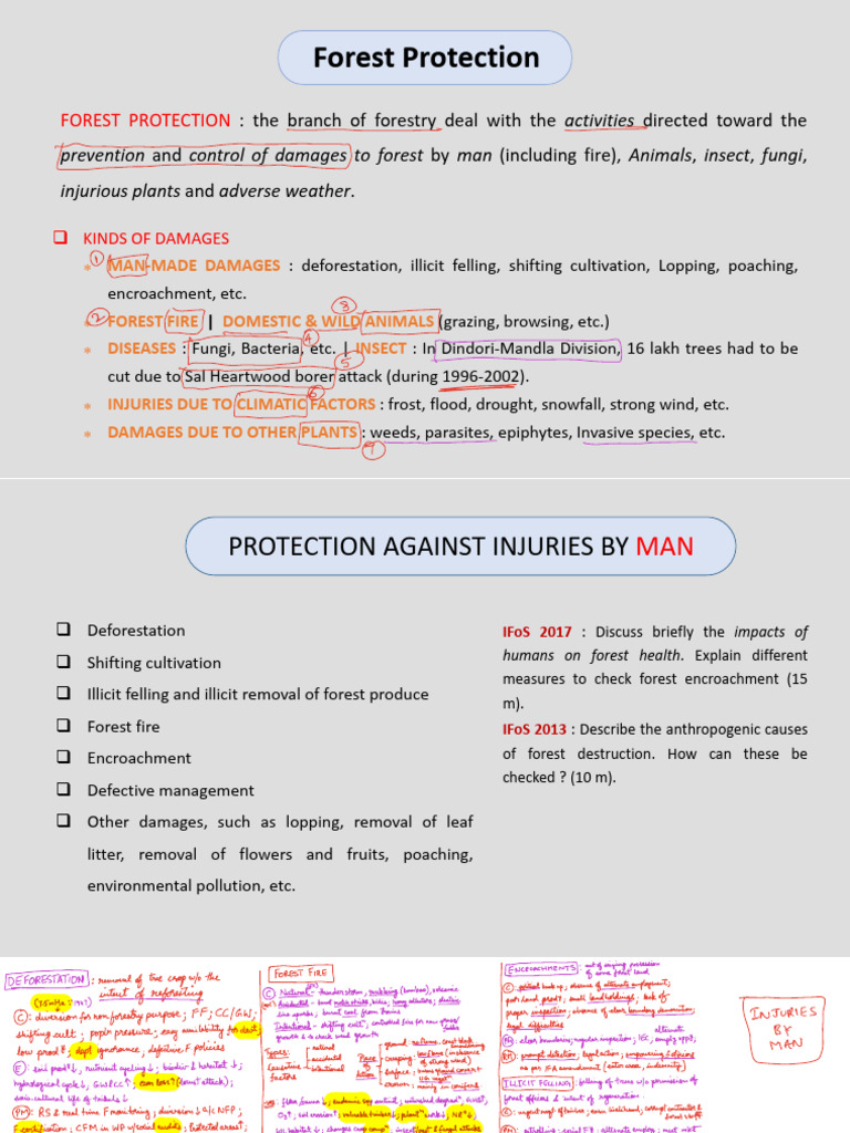 Forest Protection | PDF | Soil | Forests