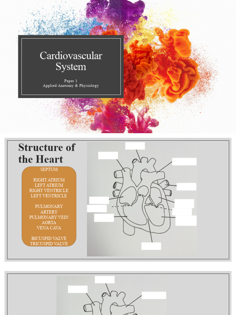 Cardiovascular System - 21st Nov | PDF | Heart | Heart Valve
