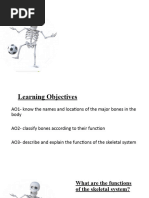 BTEC Sport Level 3 Revision Guide Skeletal System | PDF | Anatomical ...