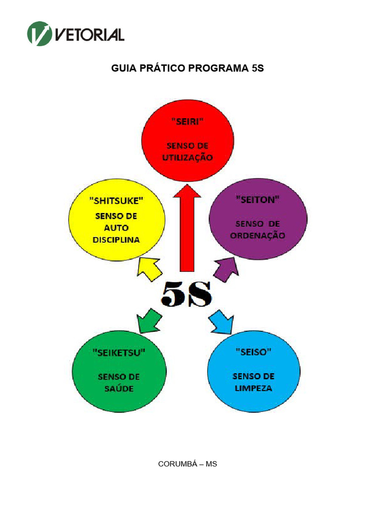 Guia Completo do Programa 5S | PDF | Qualidade (negócios) | Desperdício