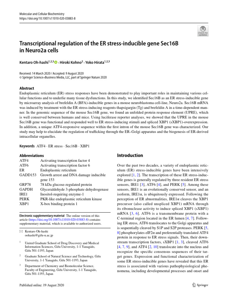 Transcriptional Regulation of The ER Stress-Inducible Gene Sec16B in ...