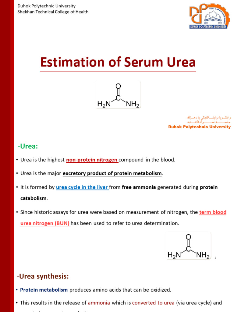 Estimation of Serum Urea | Download Free PDF | Urea | Kidney
