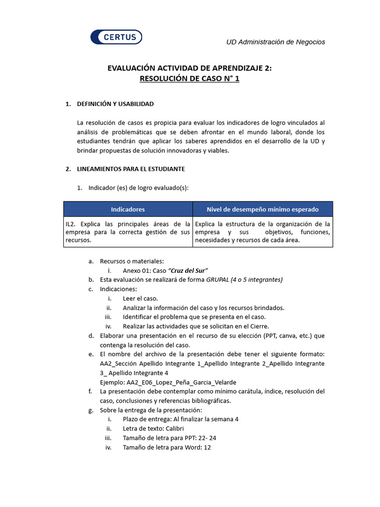 Lineamientos de Evaluación AA2 | Descargar gratis PDF | Evaluación | Business