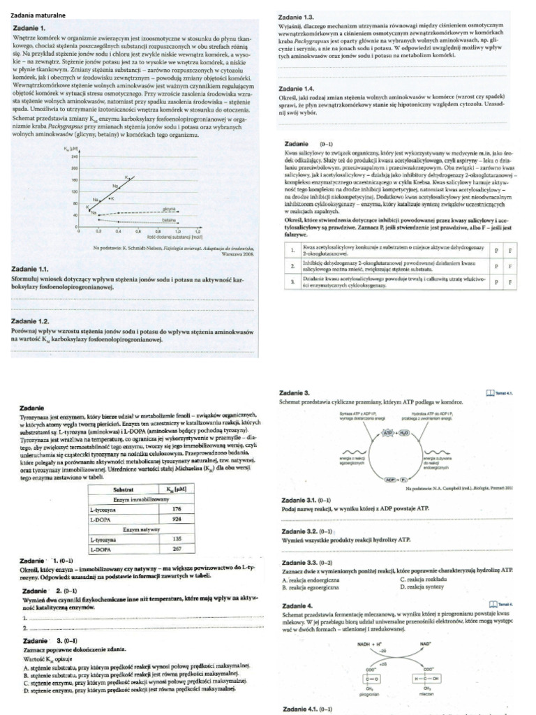 Zadania Maturalne | PDF