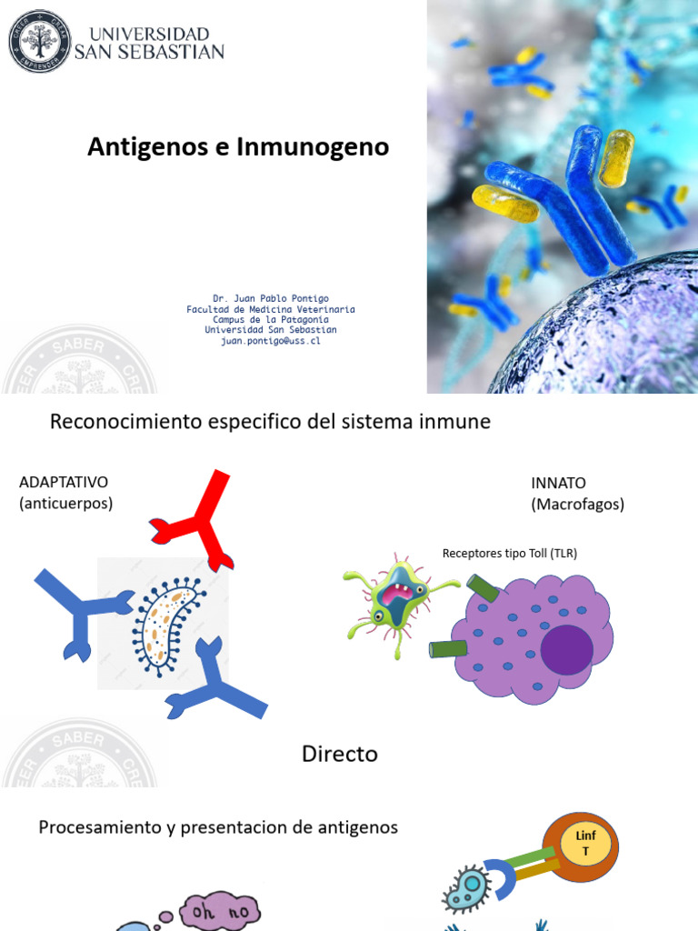Clase 3 Antigeno e Inmunogeno | PDF | Antígeno | Sistema inmune