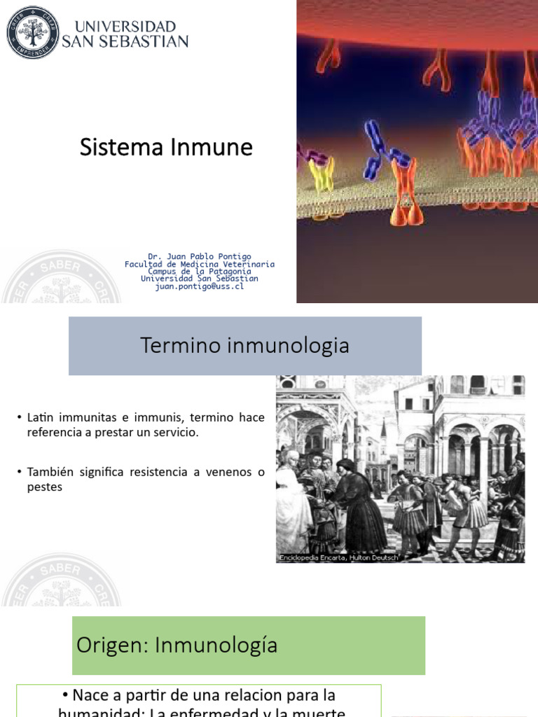Clase 1 Historia Sist. Inmune | PDF | Sistema inmune | Sistema inmune innato