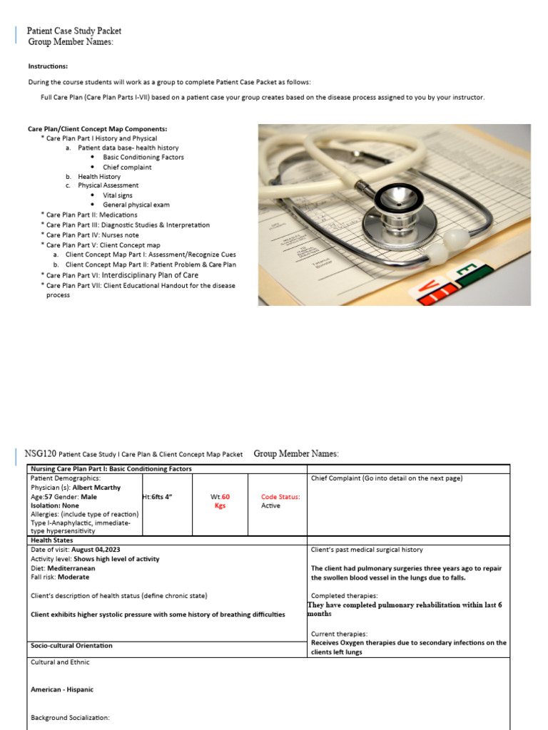 NSG 120 Patient Care Plan Project | PDF | White Blood Cell | Myocardial ...