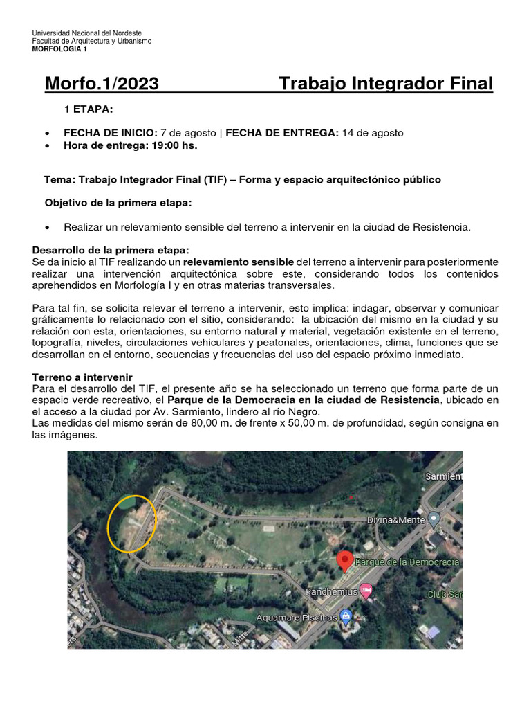 Morfologia I Tif 2023 | PDF