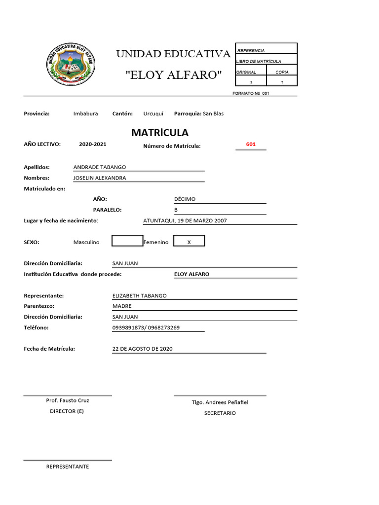 Modelo Matriculas 2023-2024 | PDF