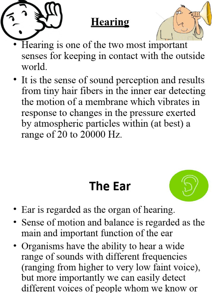 Lec 7b Hearing | PDF | Ear | Hearing