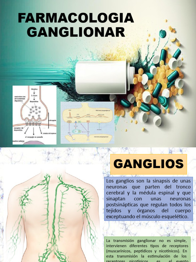 Farmacologia Ganglionar | PDF | Acetilcolina | Sinapsis