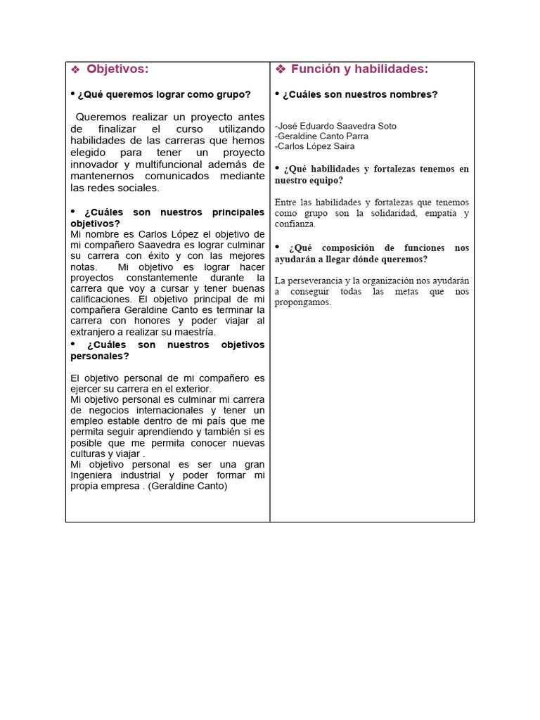 Modelo Team Canvas | PDF