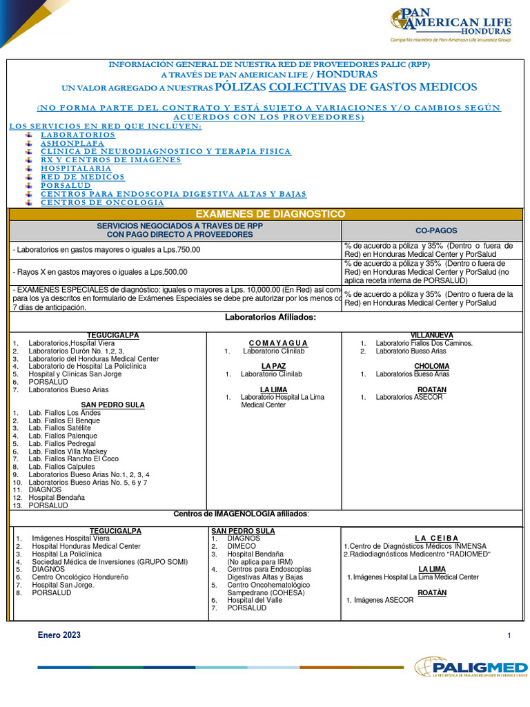 Red de Proveedores Médicos PALIC | PDF | Especialidades Medicas | Enfermedades y trastornos