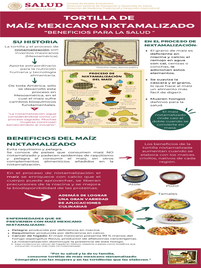 TORTILLA DE MA Z MEXICANO NIXTAMALIZADO Beneficios para La Salud 3 2 ...