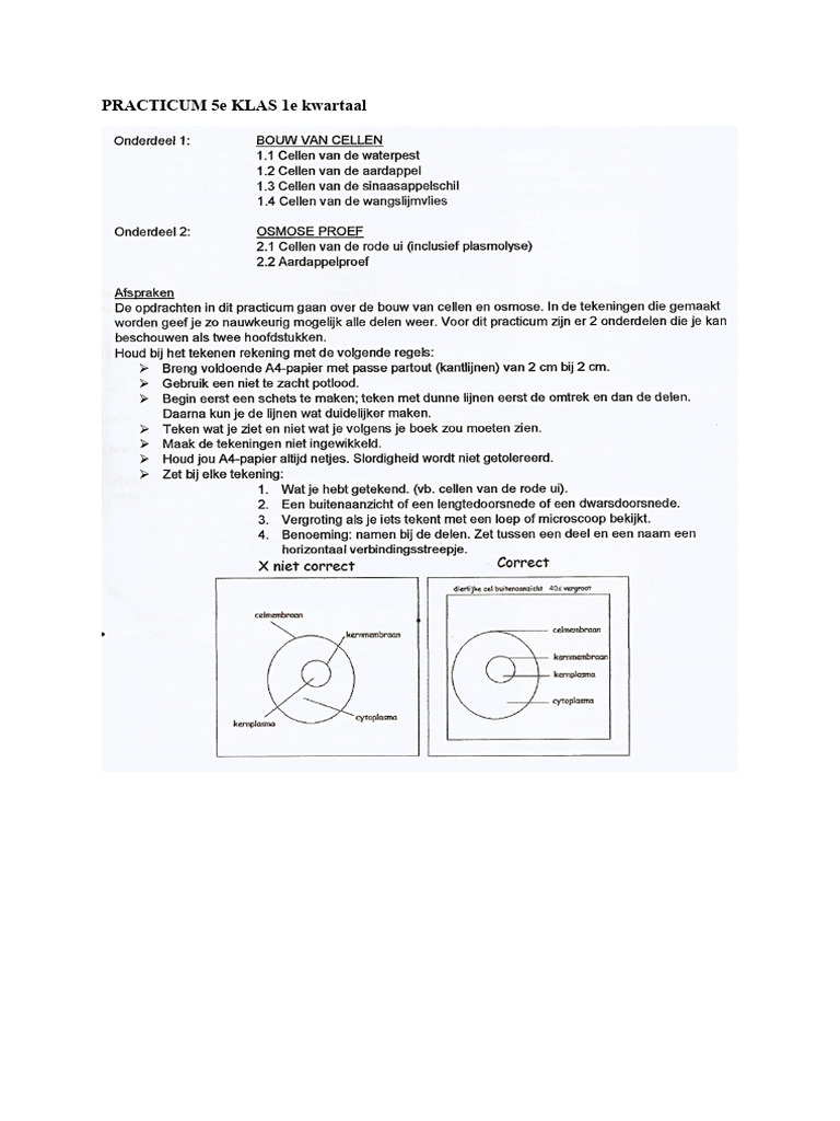 Practicum V5 KW 1 | PDF