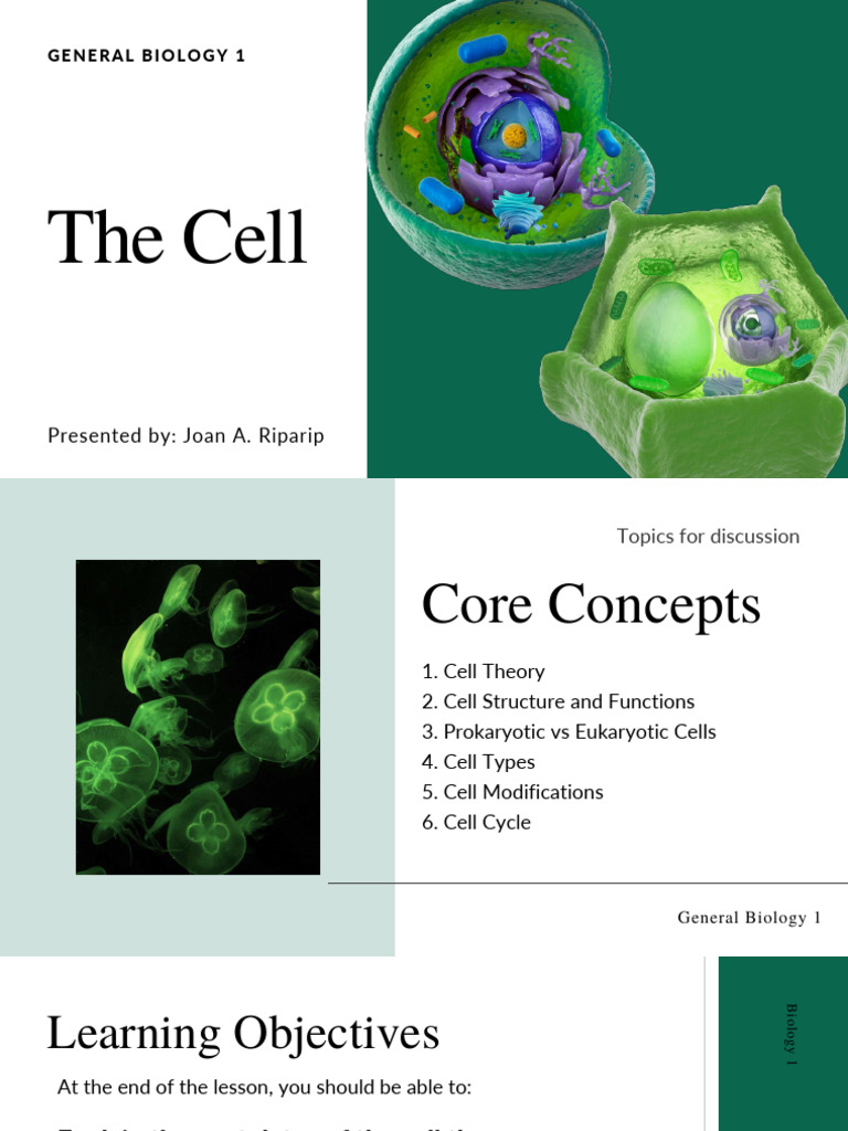 Cell Theory Structure | PDF | Cell (Biology) | Endoplasmic Reticulum