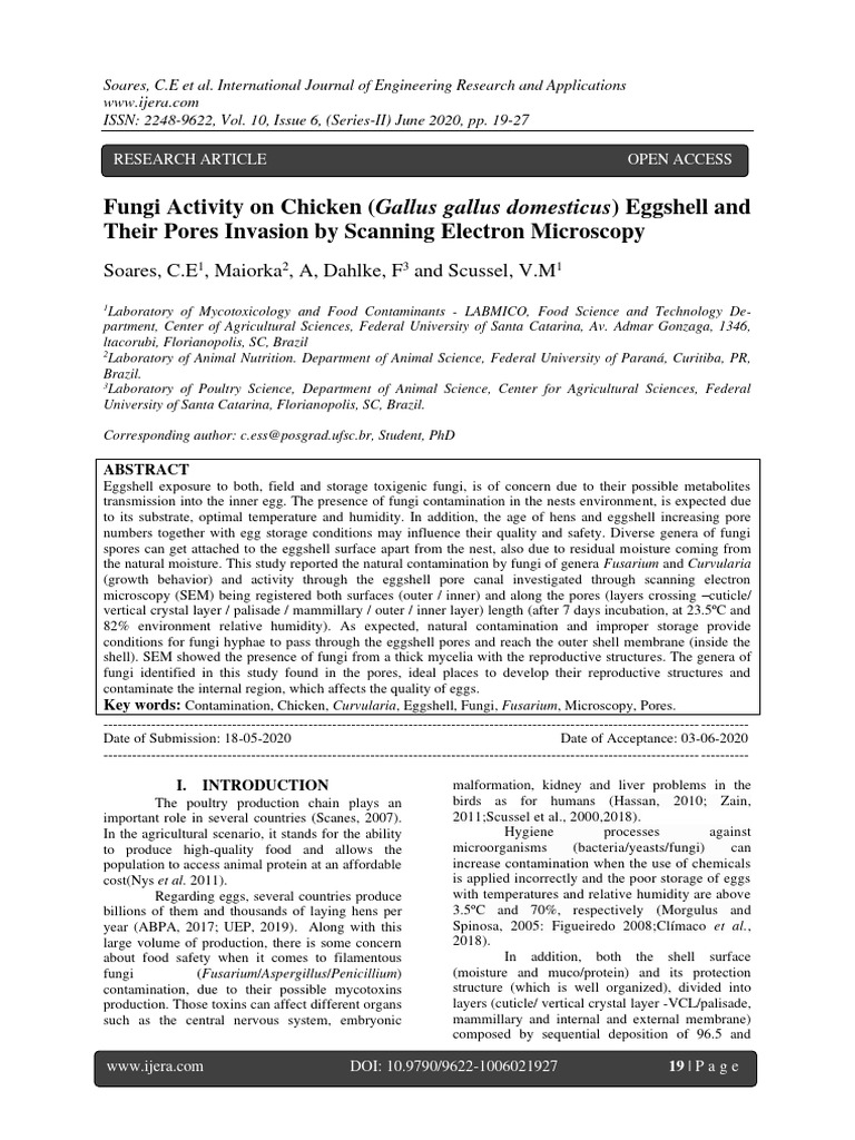 Soares Et Al. - 2020 - Fungi Activity On Chicken (Gallus Gallus ...