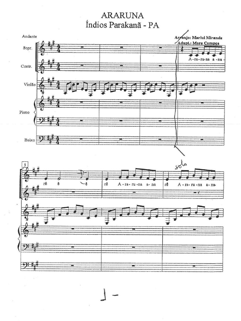 Araruna 1 | PDF