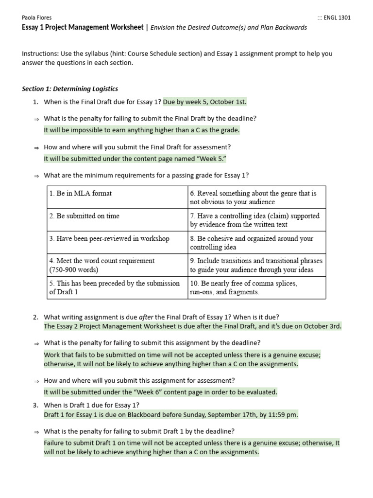 Project Worksheet 1301 2 | PDF | Essays | Peer Review