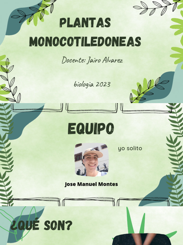 Presentación Monocotiledoneas | PDF | Ciencia y matemáticas