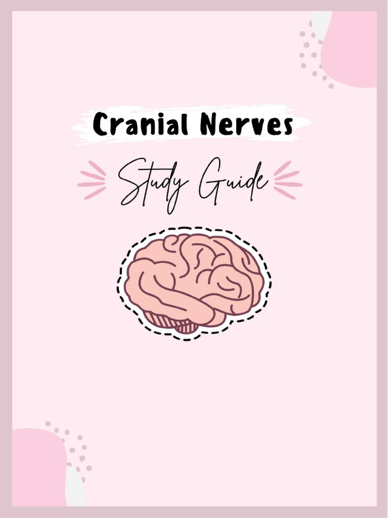Cranial Nerves Visual Study Guide Studymoofin | PDF