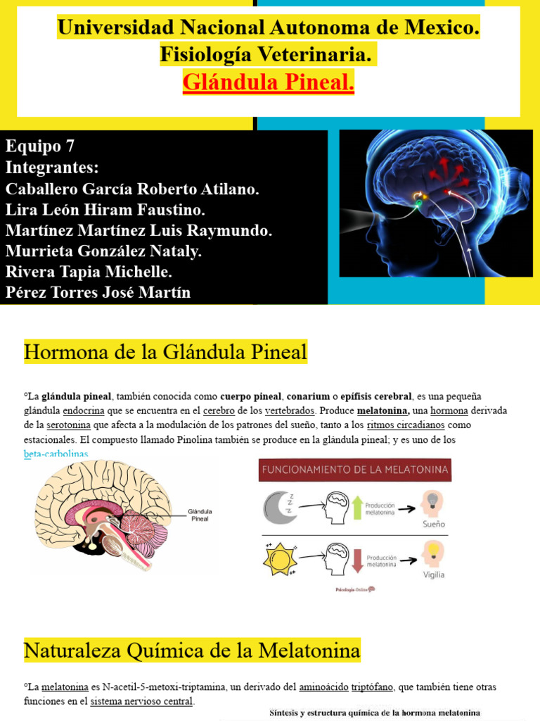 Glandula Pineal | PDF | Fisiología | Biología