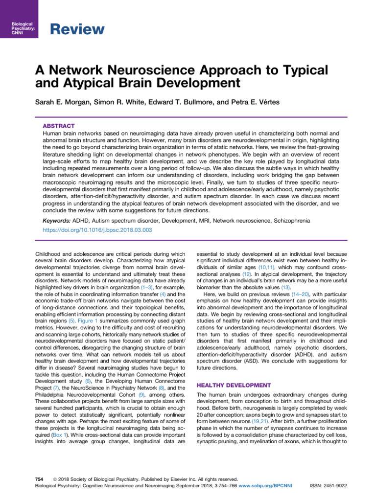 Neurodevelopmental Disorders & Brain Networks | PDF | Attention Deficit ...