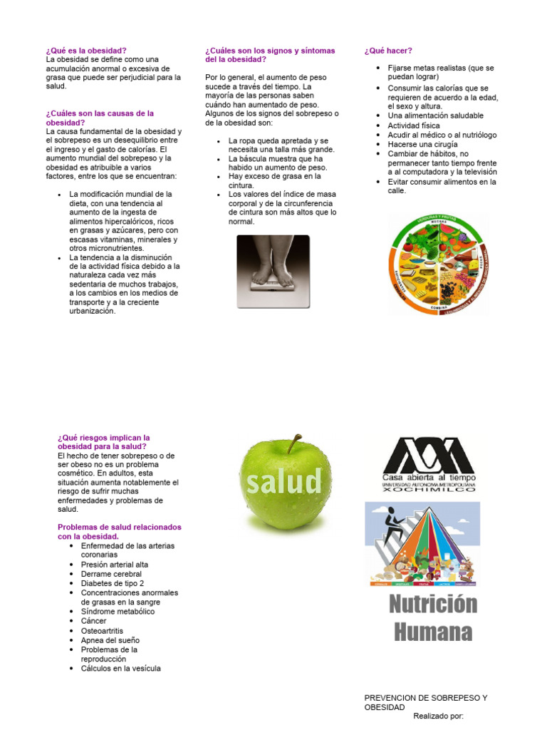 Triptico de La Obesidad | PDF | Obesidad | Exceso de peso Triptico de La Obesidad | PDF | Obesidad | Exceso de peso